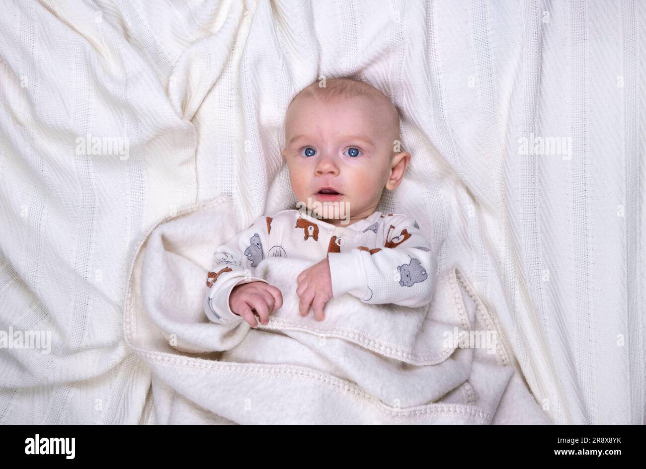 Cute baby boy 5 months old on a light background. High quality photo ...