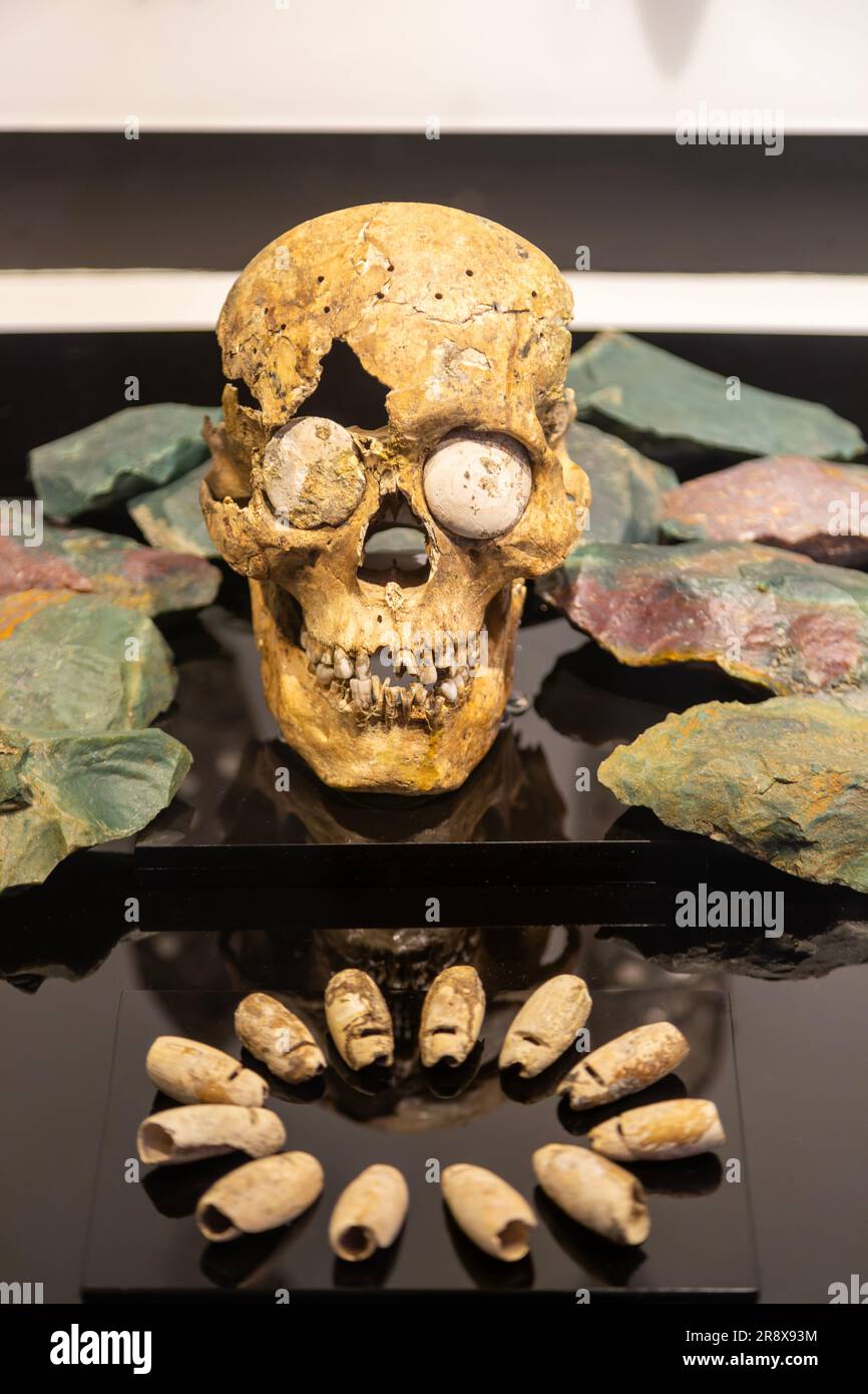 Offering of human skull and shells, archaeological site and museum of ...