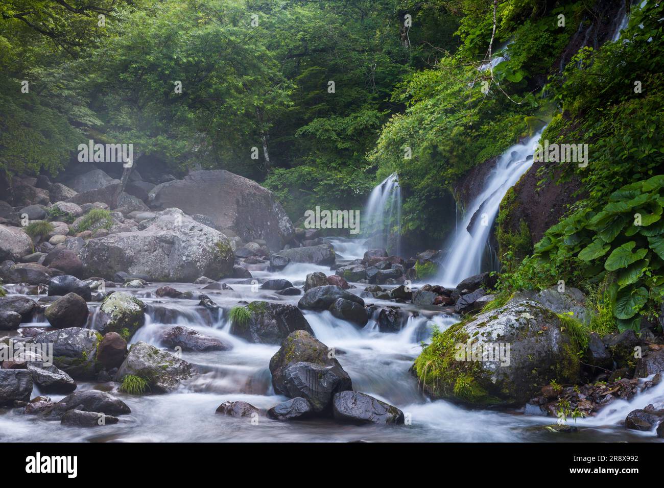Doryuno waterfall hi-res stock photography and images - Alamy