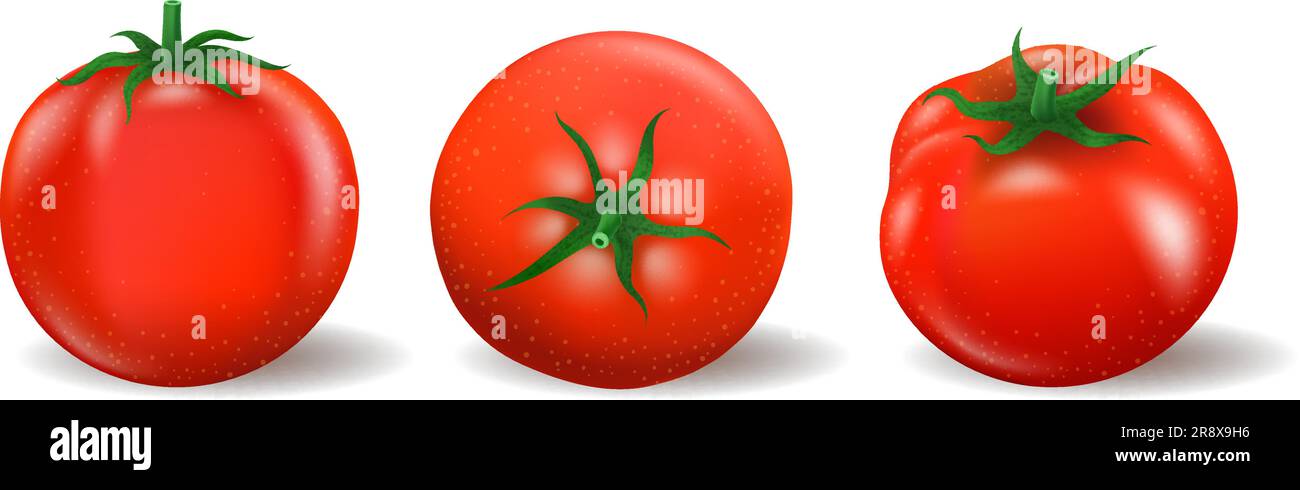 Red tomato cartoon realistic set Stock Vector Image & Art - Alamy
