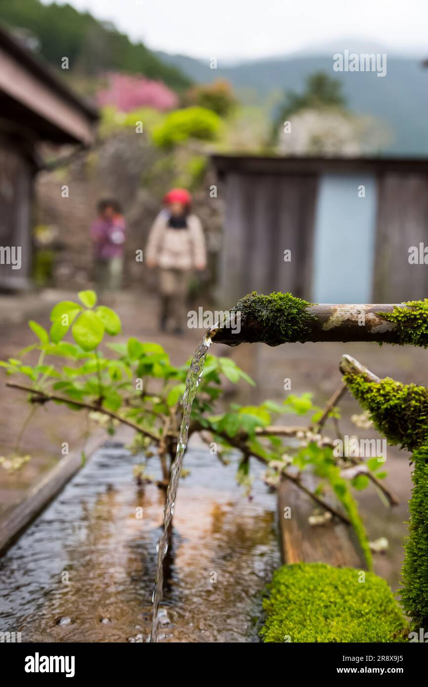 Kumano pilgrimage kodo hi-res stock photography and images - Alamy