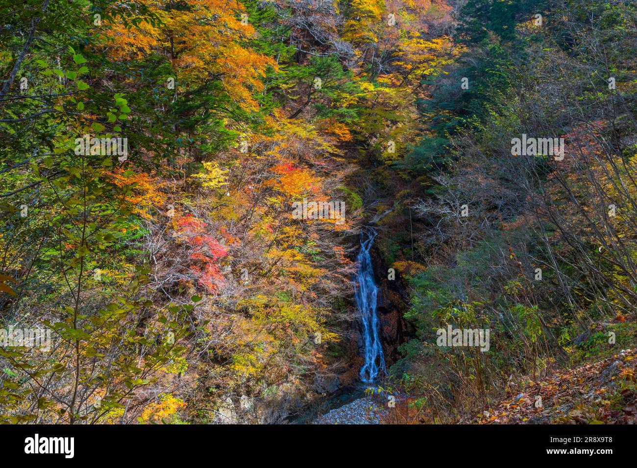 Okubo waterfall hi-res stock photography and images - Alamy