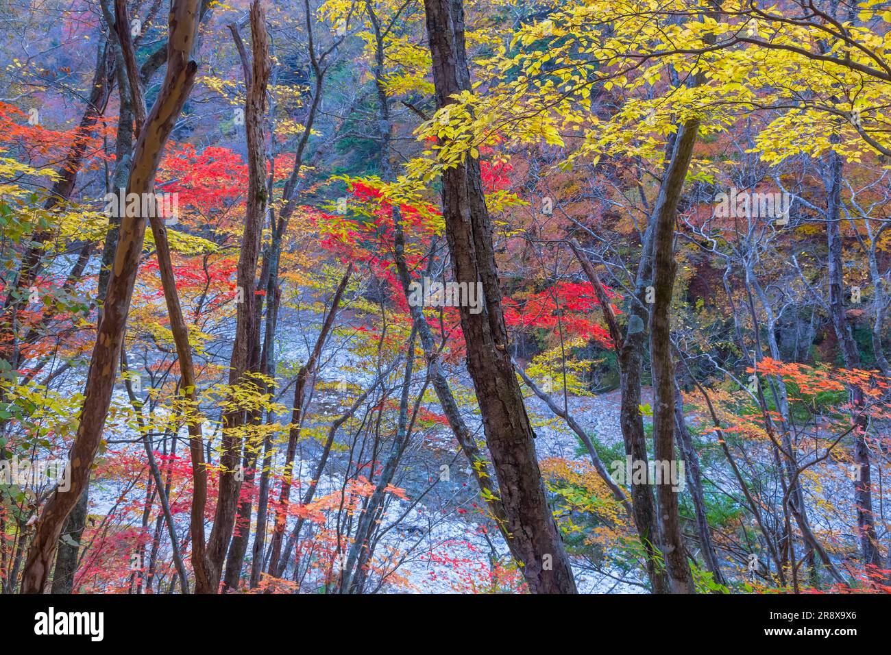 Bright valley hi-res stock photography and images - Alamy