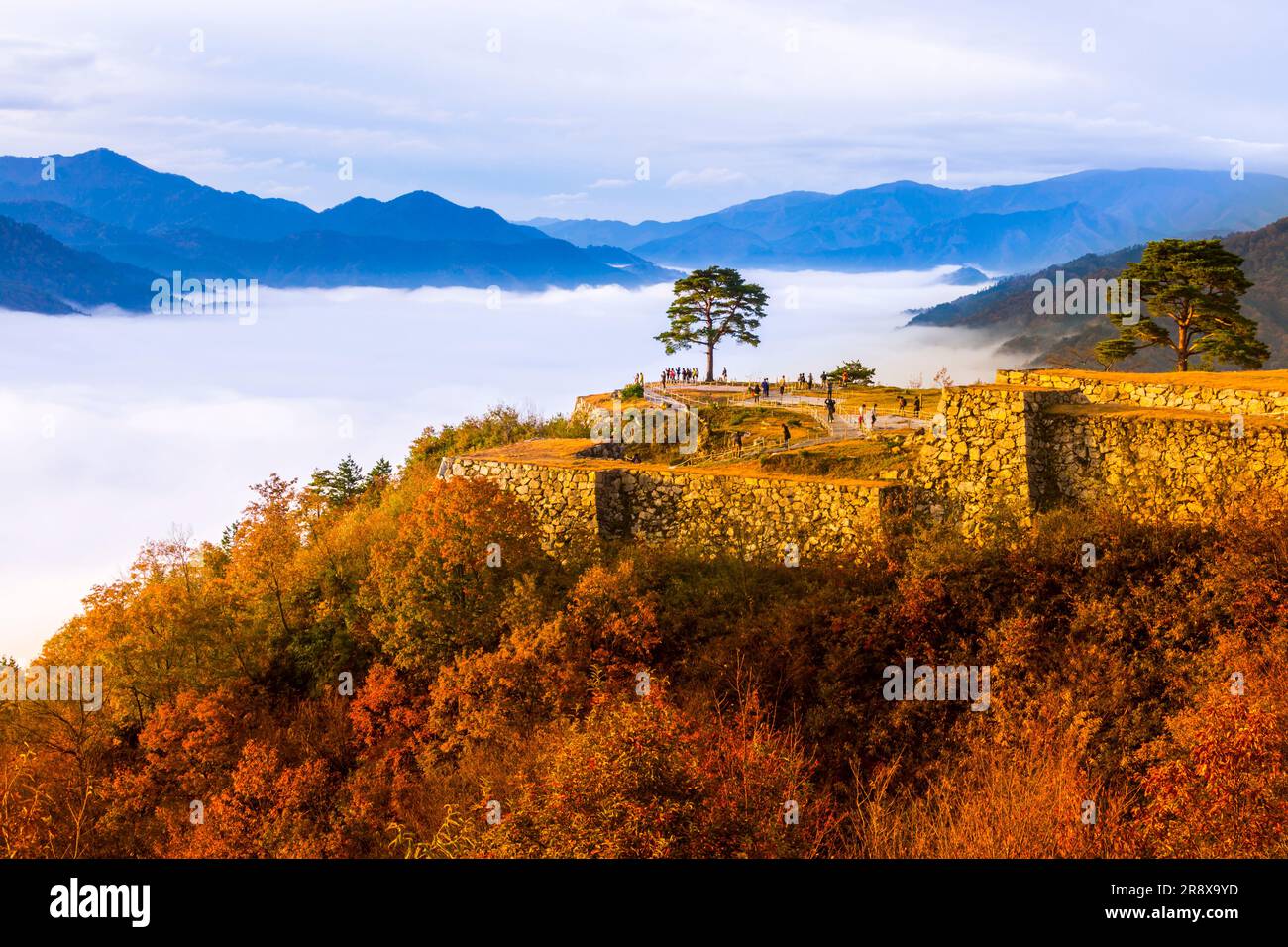 Still life castle hi-res stock photography and images - Alamy