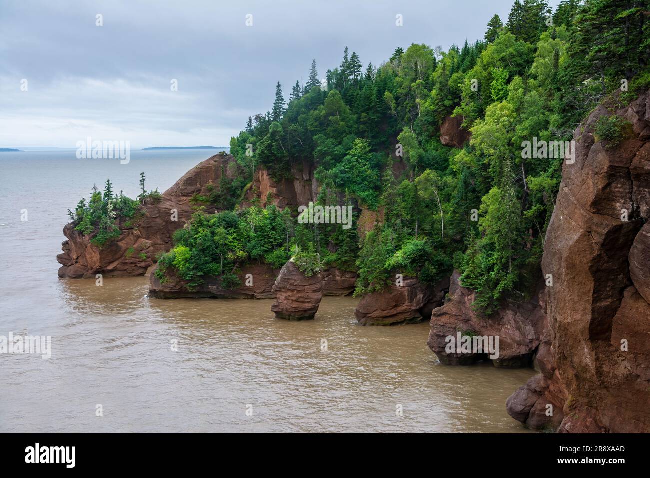 The bay of Fundy, New Brunswick.This bay is famous for having the ...