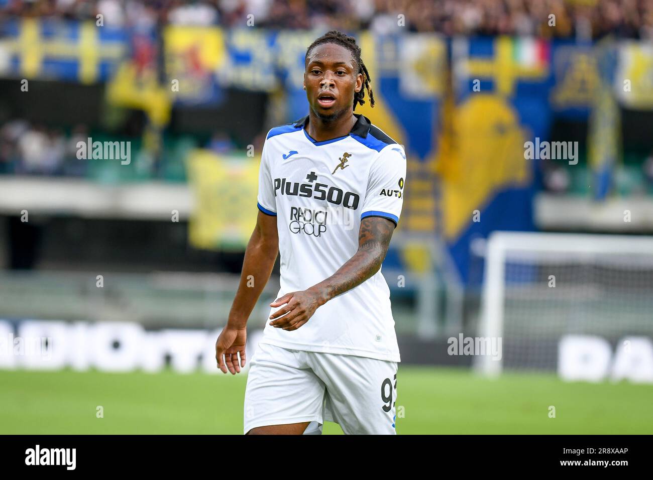 Brandon soppy portrait hi-res stock photography and images - Alamy