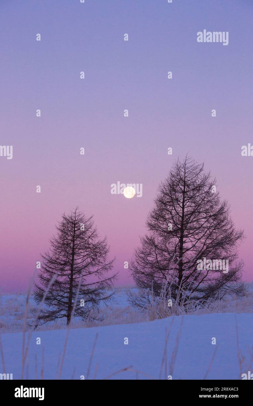 February full moon 2017 hi-res stock photography and images - Alamy