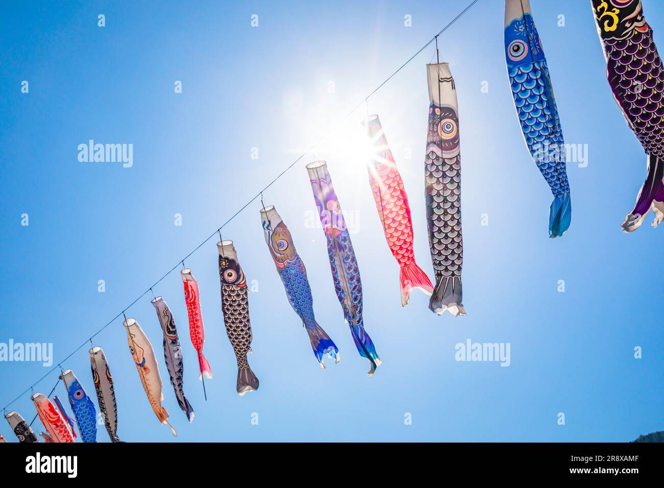 Carp streamers and river hi-res stock photography and images - Alamy