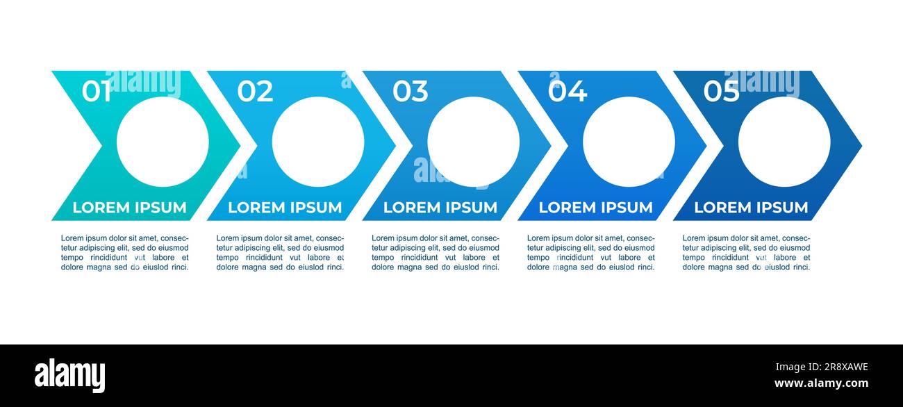 Project management blue infographic chart design template Stock Vector ...