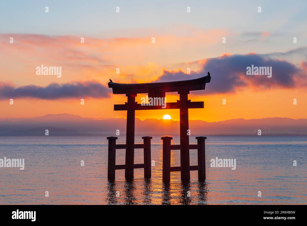 Torii of Shirahige Shrine in the morning Stock Photo - Alamy