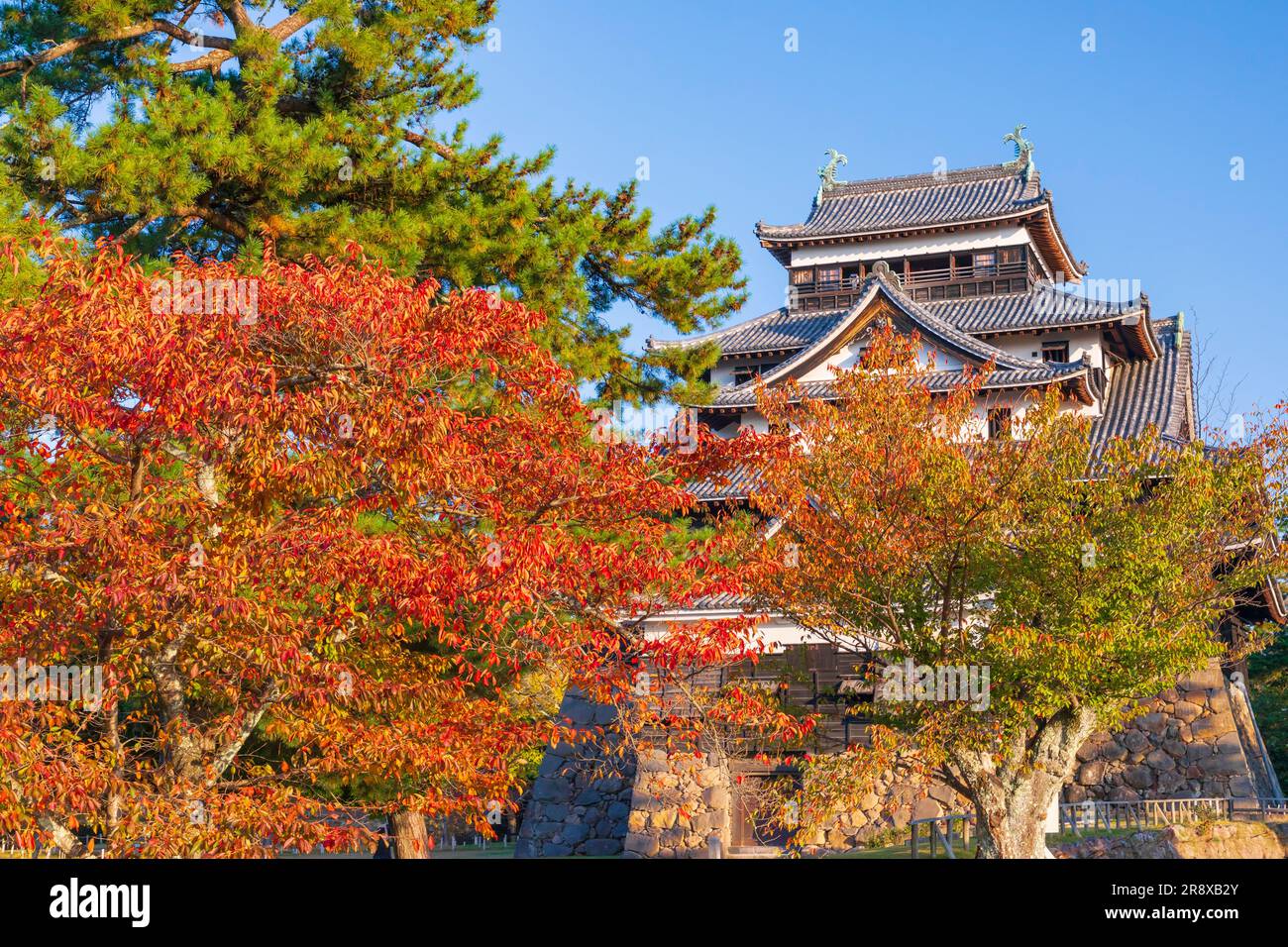 Japan autumn matsue hi-res stock photography and images - Alamy
