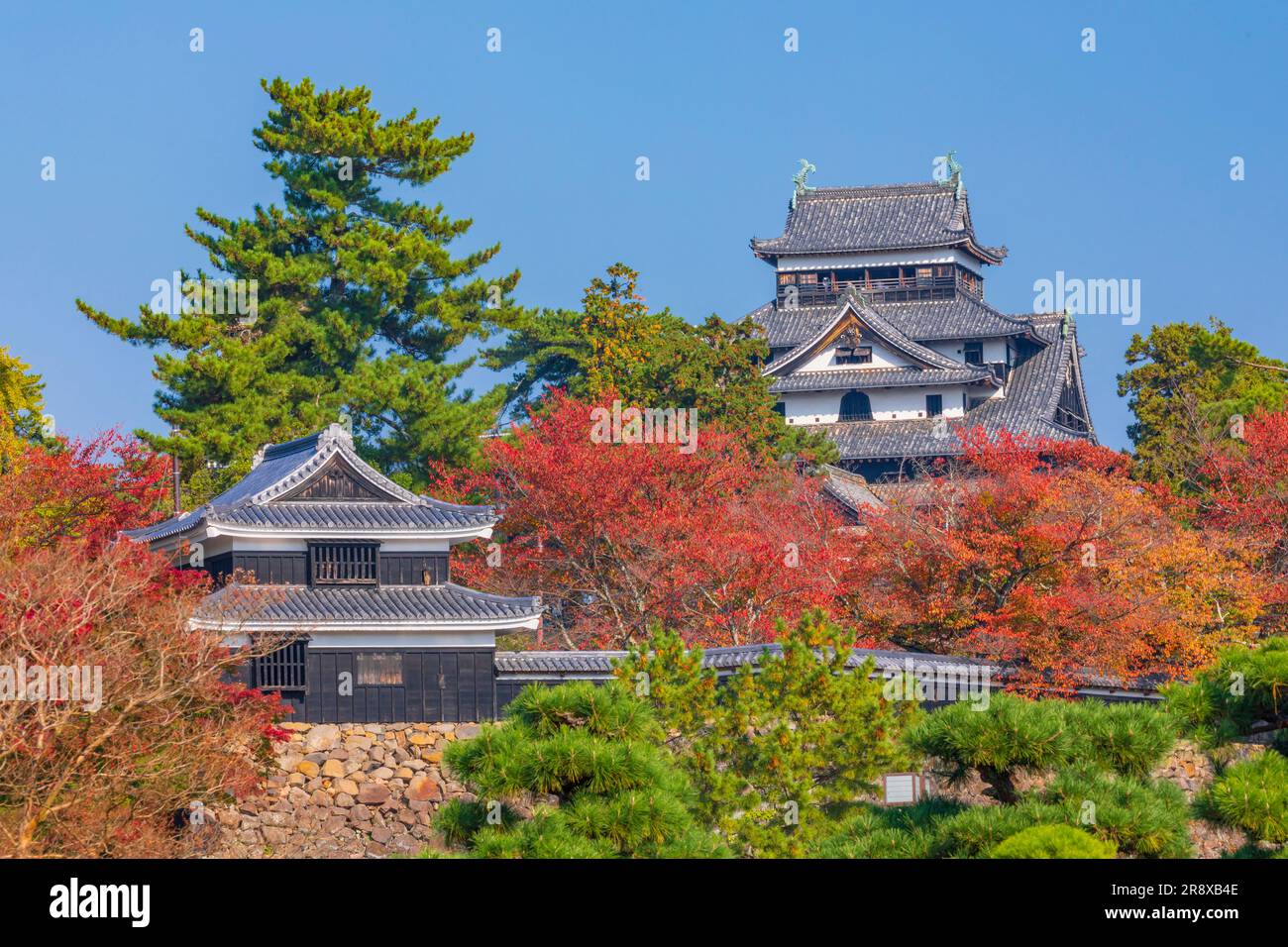 Japan autumn matsue hi-res stock photography and images - Alamy