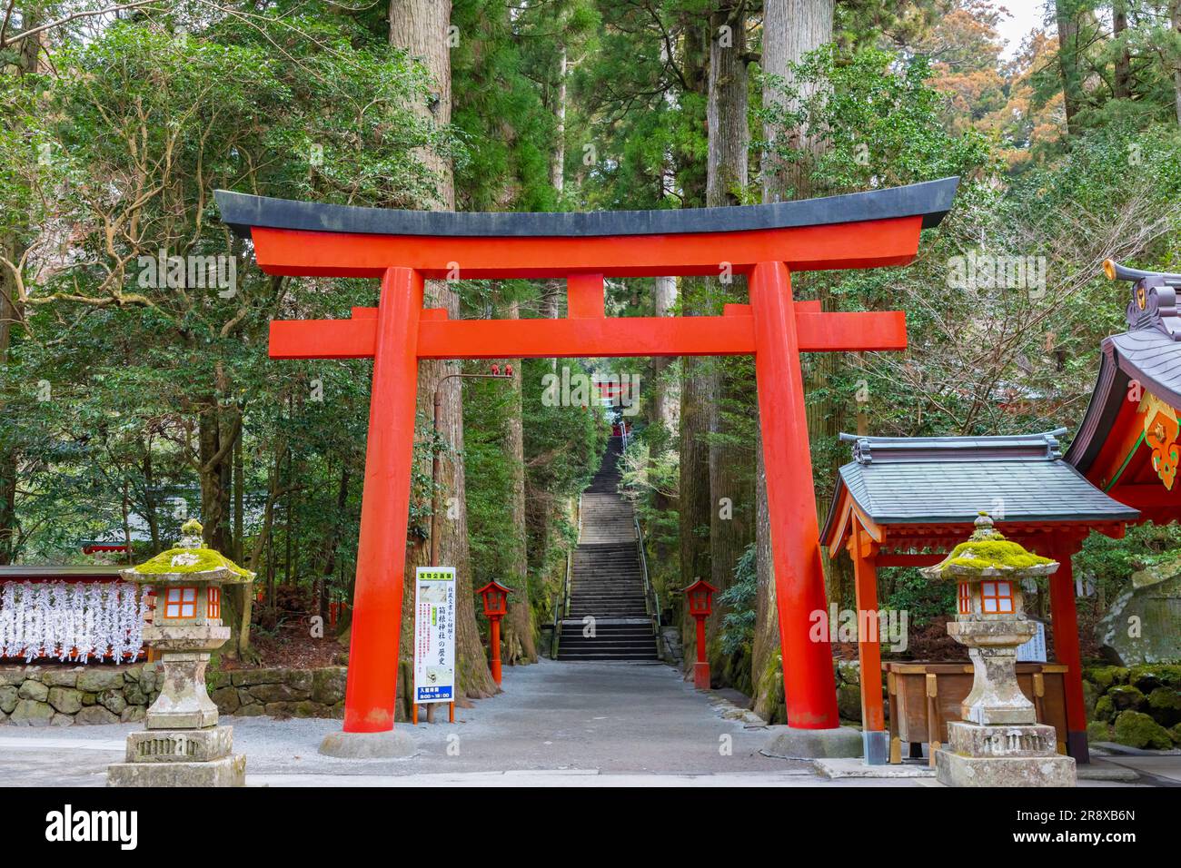 Torii gate of Hakone Shrine Stock Photo - Alamy