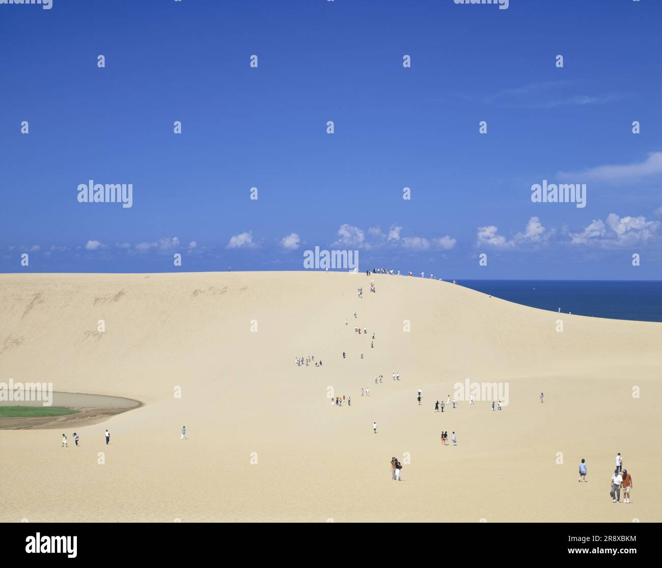 Tottori sand dunes Stock Photo - Alamy