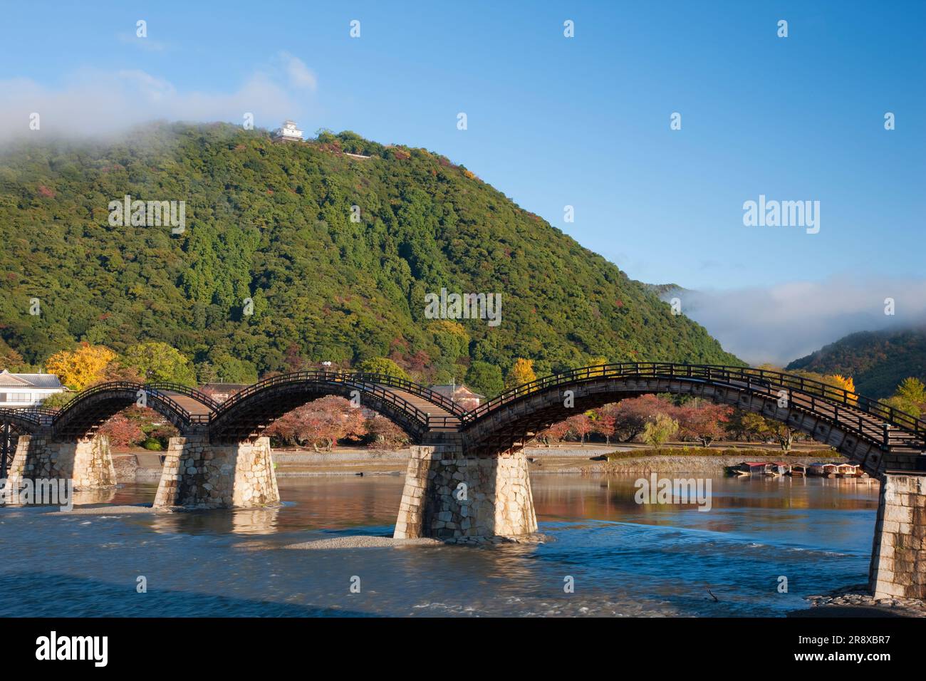 Kintaikyo bridge in autumn Stock Photo - Alamy