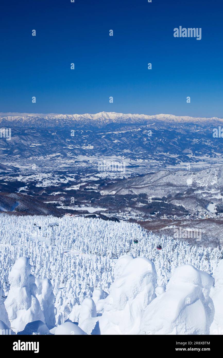 Trees on Mount Zao covered in frost Stock Photo - Alamy