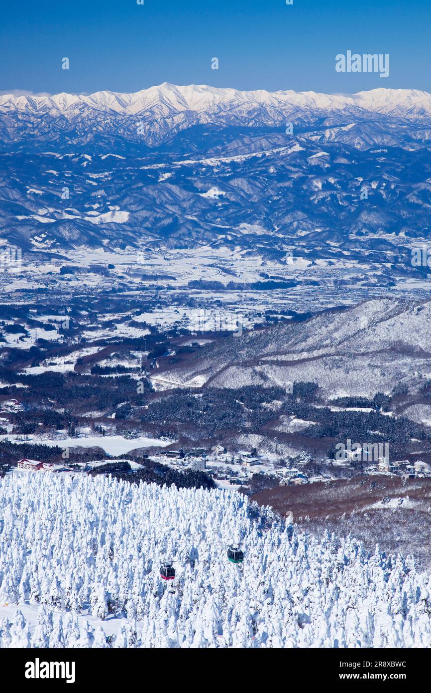 Trees on Mount Zao covered in frost Stock Photo - Alamy