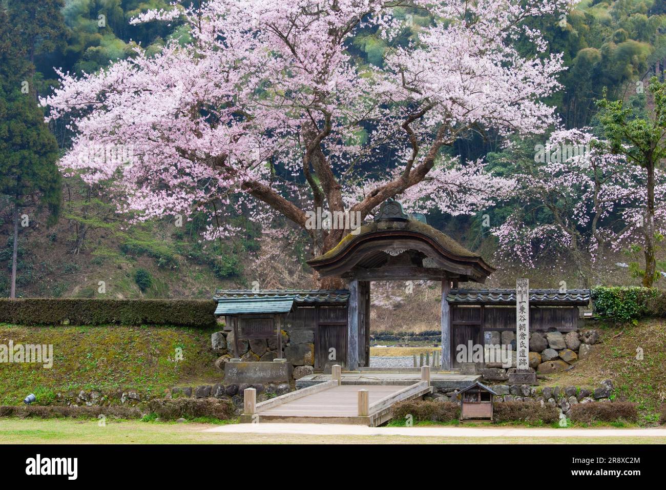 Ichijodani Asakura Clans Ruins, Chinese gate Stock Photo - Alamy