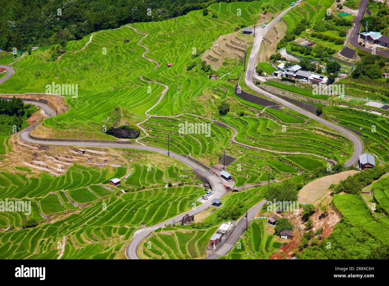 Maruyama rice terrace Stock Photo - Alamy