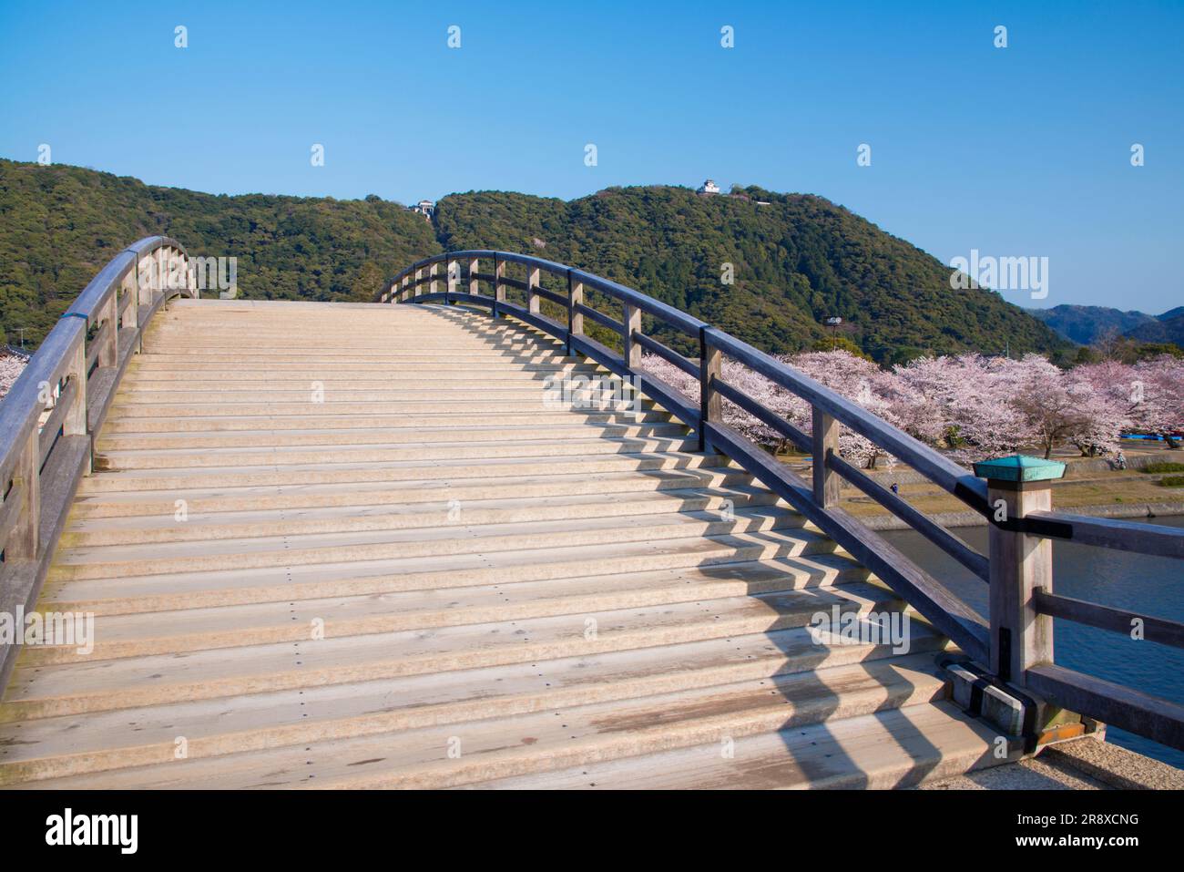 Kintai Bridge with blooming cherry blossoms Stock Photo - Alamy