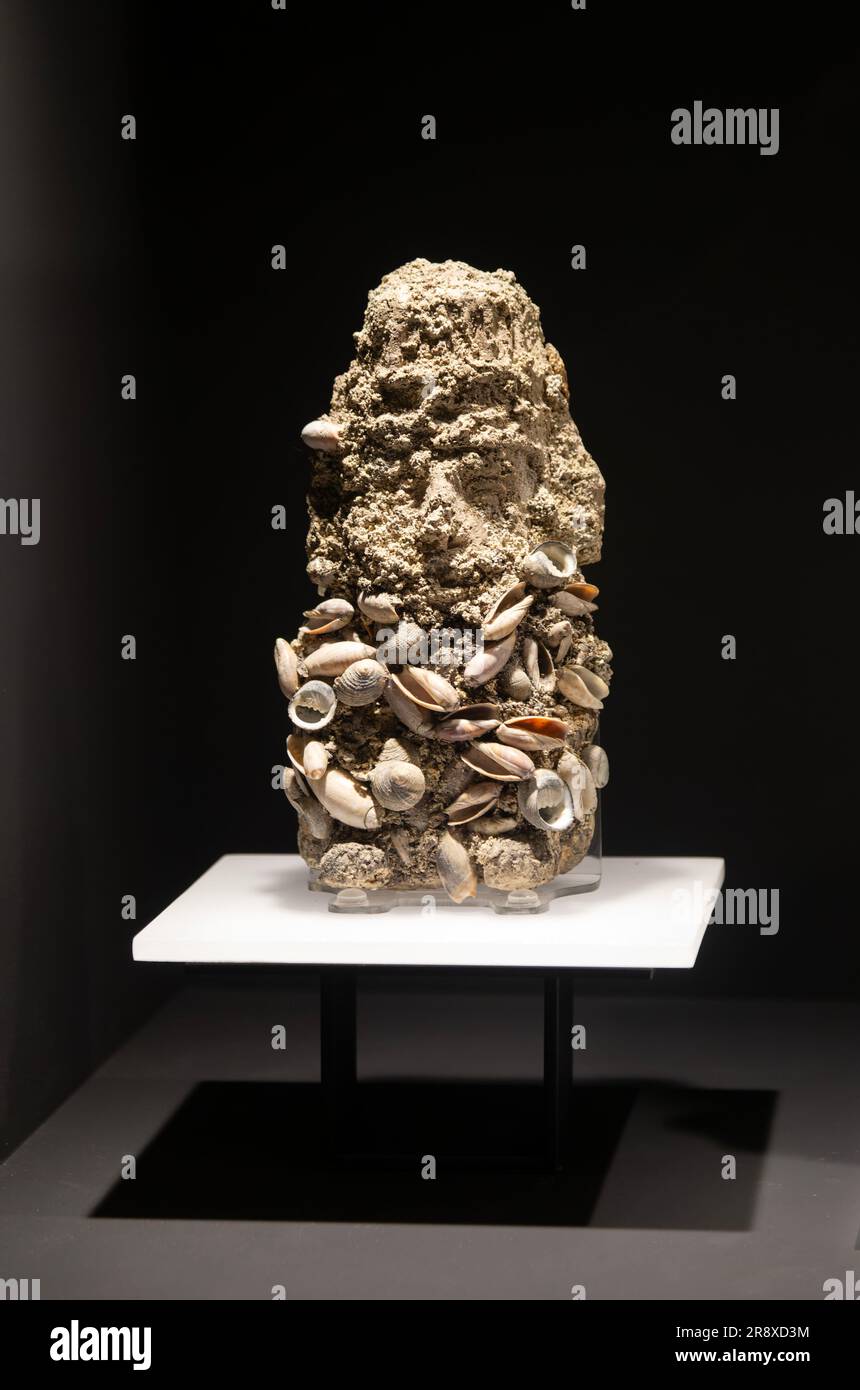 Copal figure with shells, archaeological site and museum of Templo ...