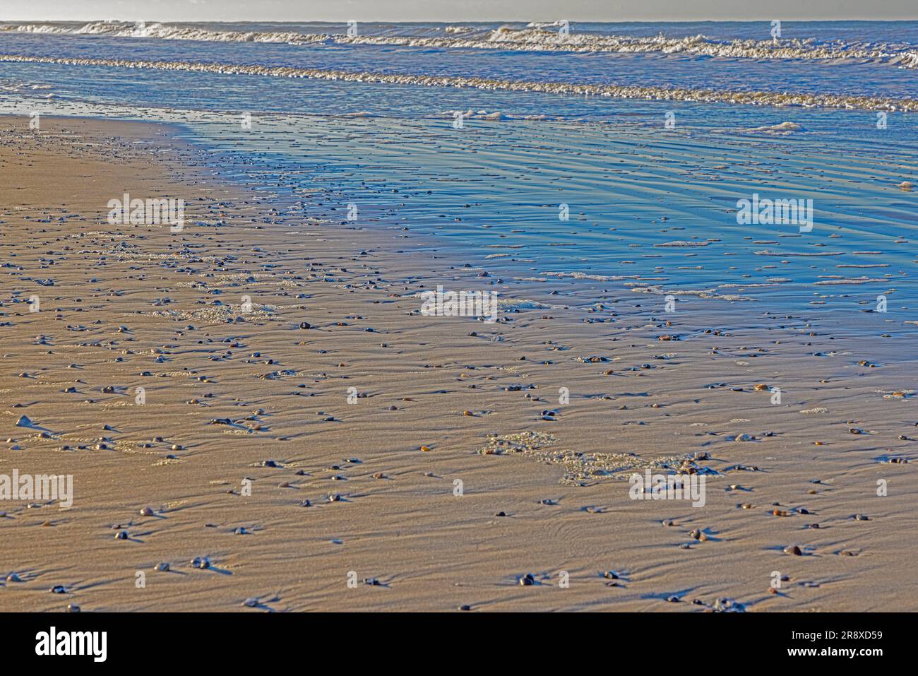 Image of shells and stones on a North Sea beach in Denmark in winter ...