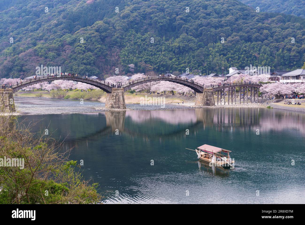Kintai Bridge with blooming cherry blossoms and a houseboat Stock Photo ...