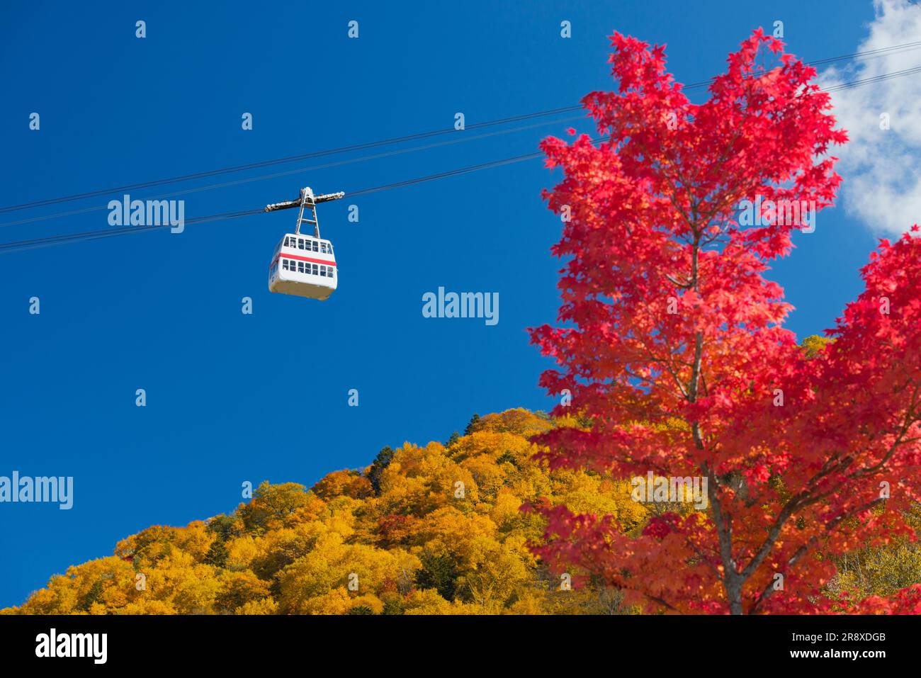 Shinhotaka ropeway takayama gifu hi-res stock photography and images ...
