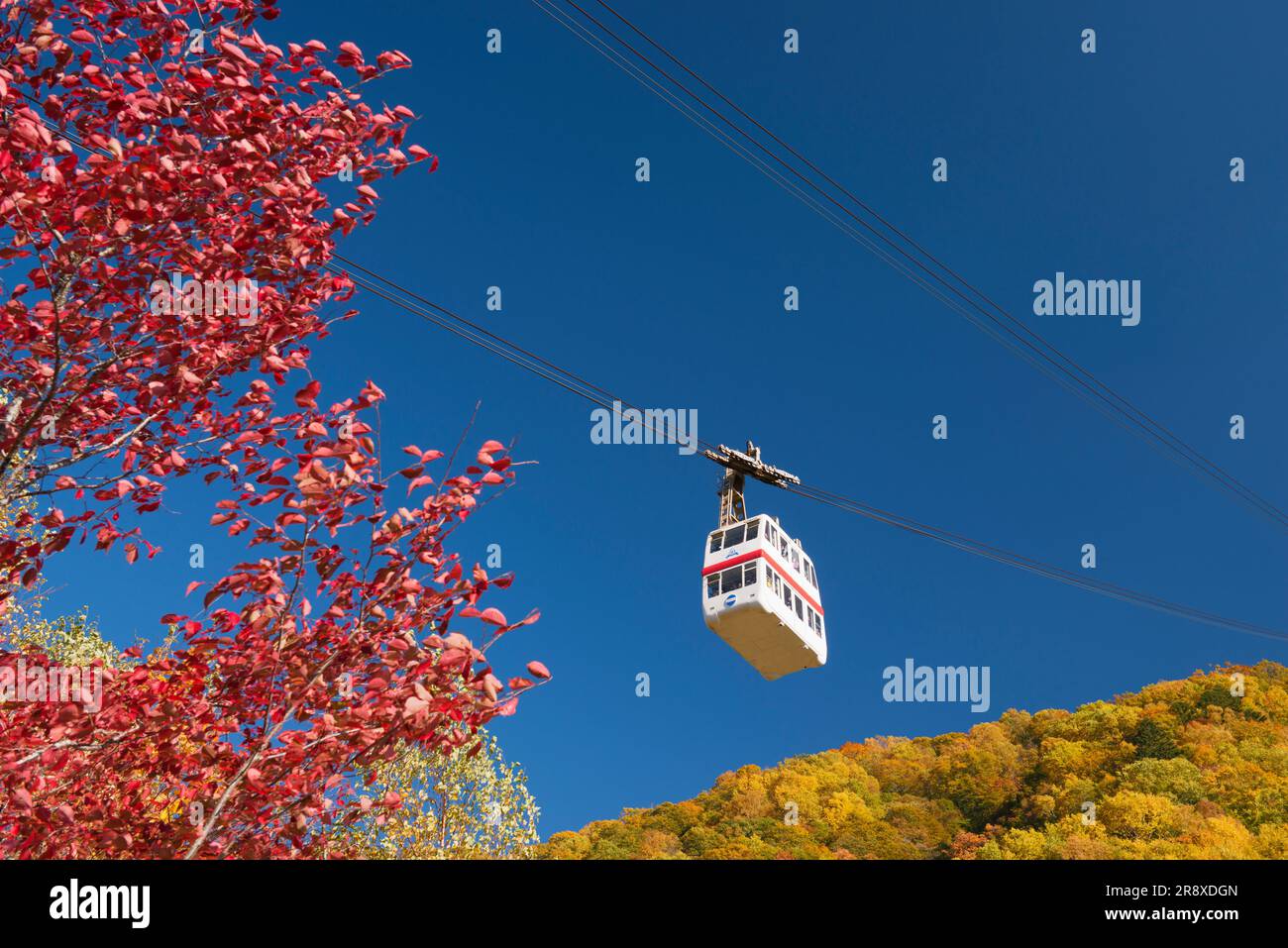 Shinhotaka ropeway hi-res stock photography and images - Alamy