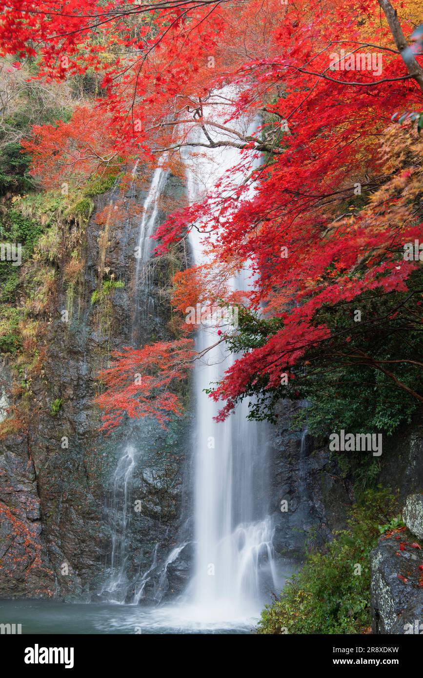 Mino no taki hi-res stock photography and images - Alamy