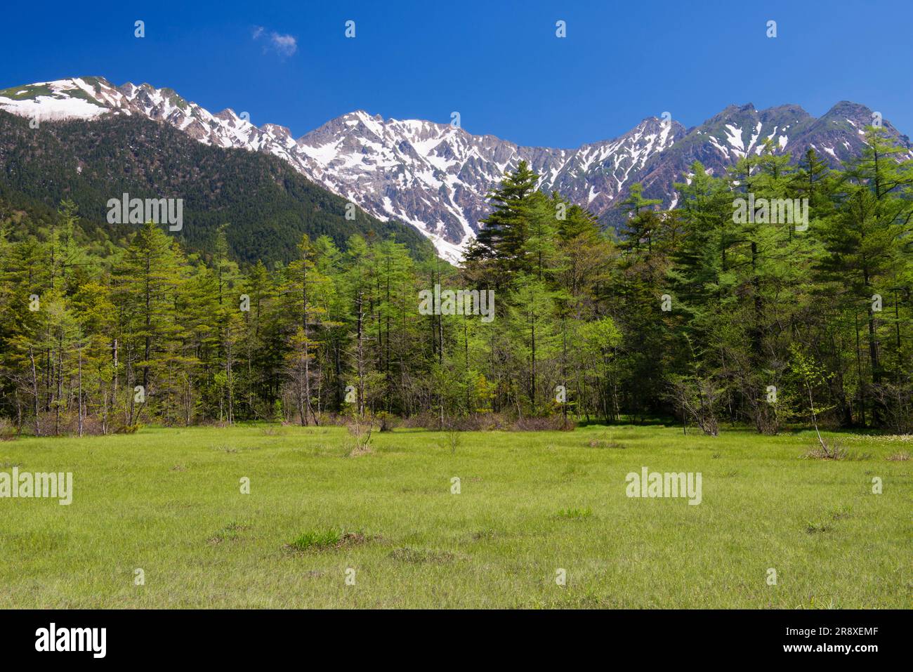 Tashiro wetlands hi-res stock photography and images - Alamy