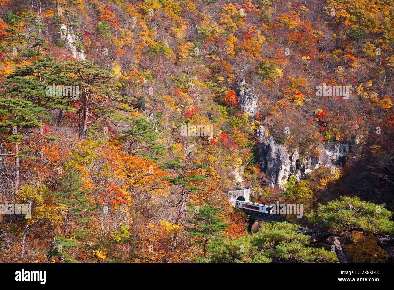 Japan autumn train hi-res stock photography and images - Alamy