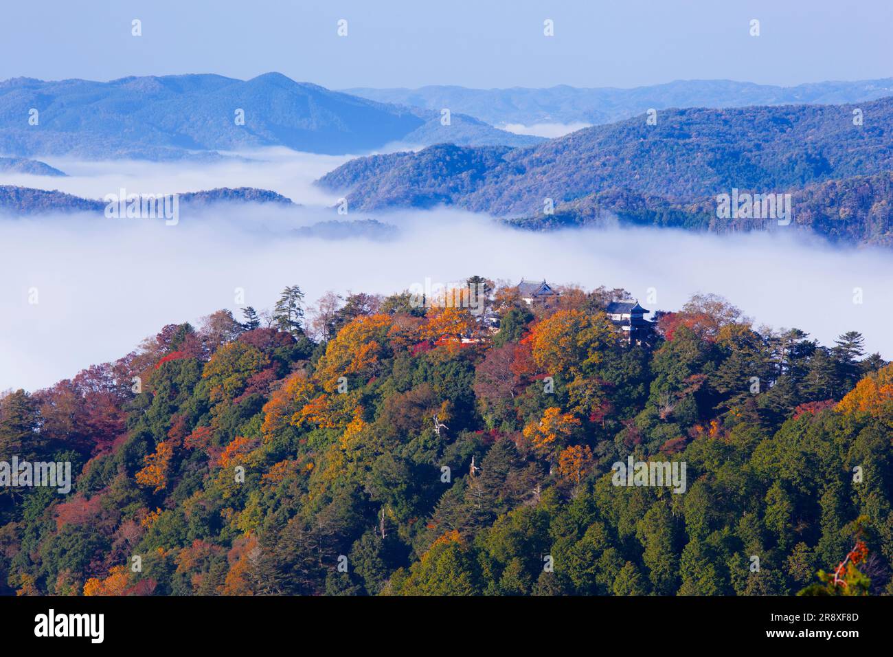 Bicchu Matsuyama Castle and Sea of Clouds Stock Photo - Alamy
