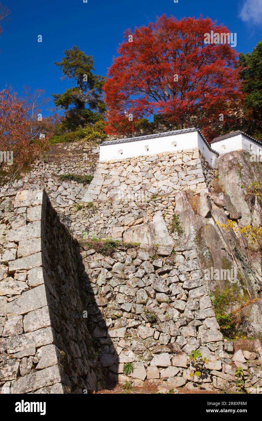Stone Walls of Bicchu Matsuyama Castle in Autumn Stock Photo - Alamy