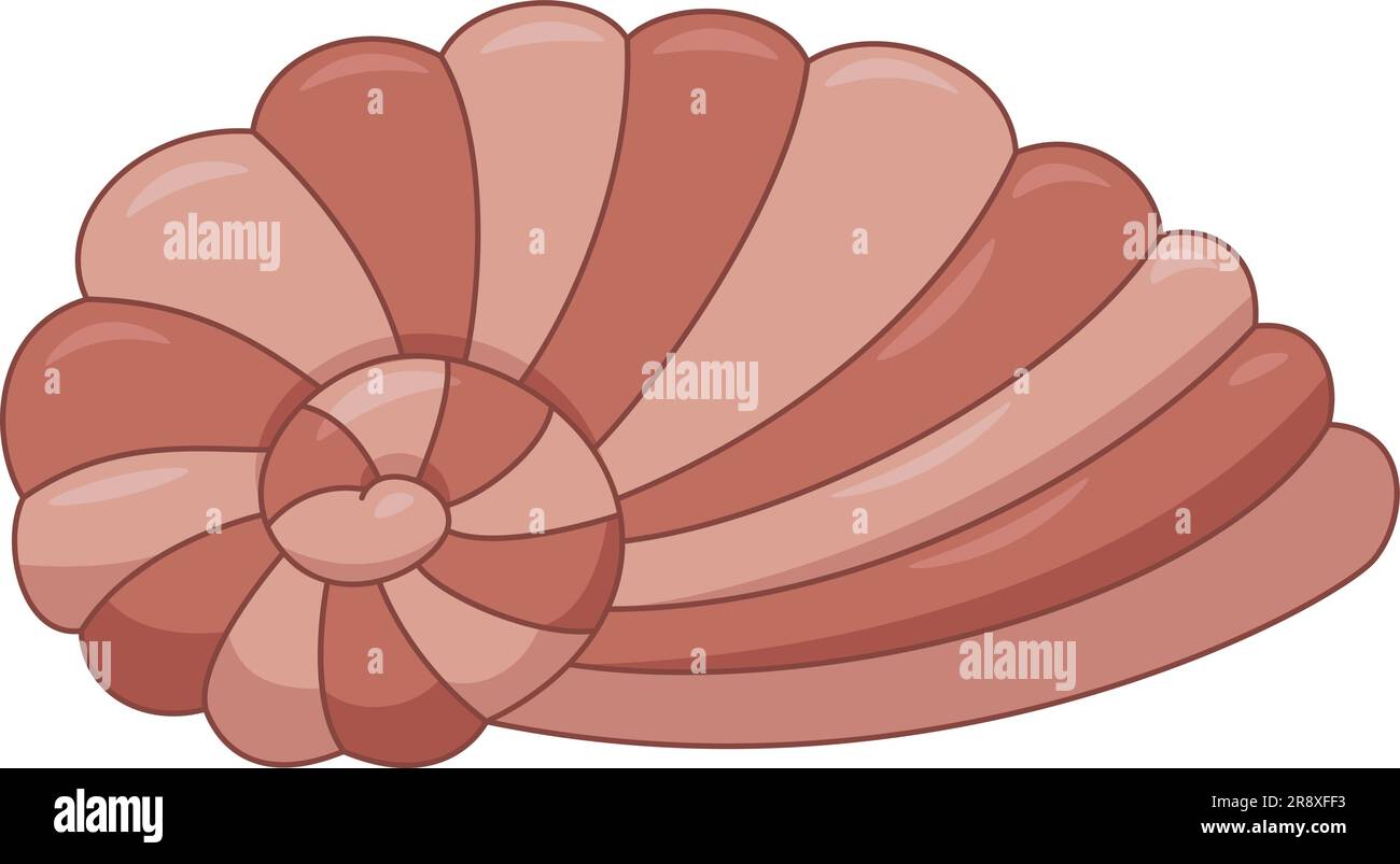 curled spiral cartoon shell in a fold Stock Vector Image & Art - Alamy