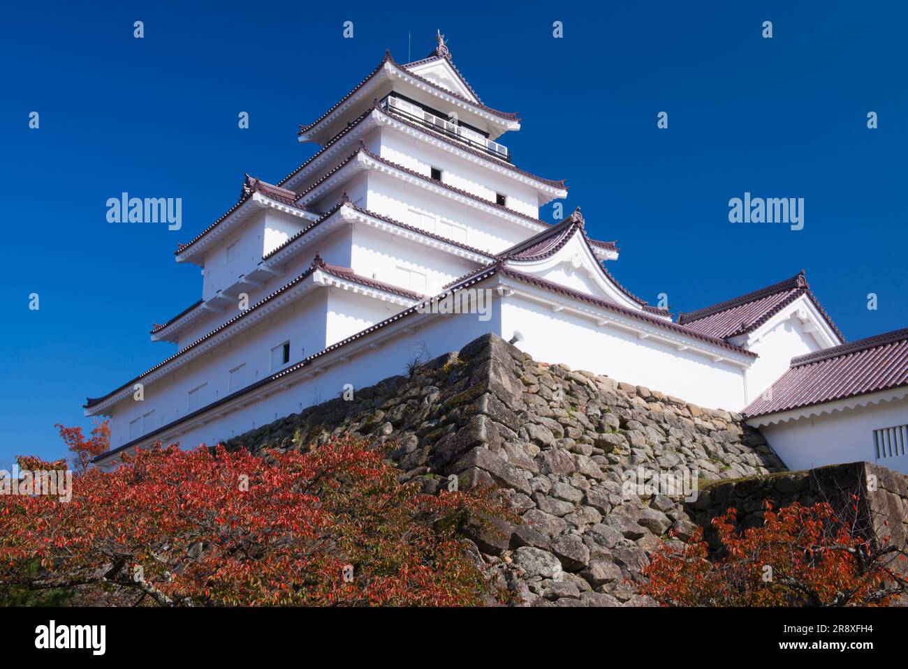 Tsuruga castle autumn hi-res stock photography and images - Alamy