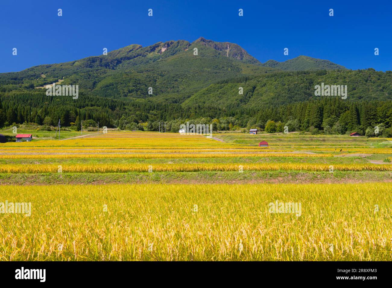 Myoko mountains hi-res stock photography and images - Alamy