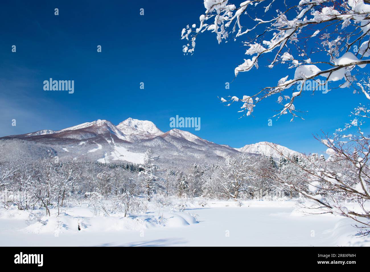 Imori pond and Mt.Myokosan Stock Photo - Alamy
