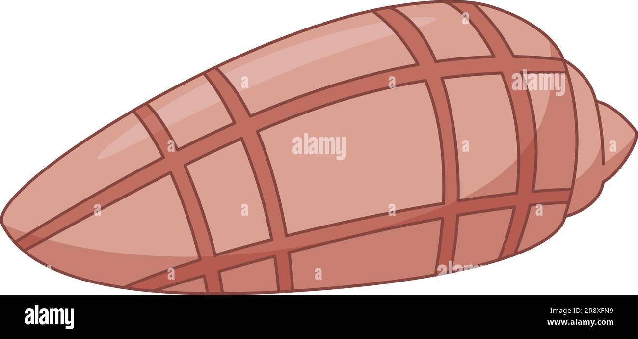 long cartoon shell with stripe and cell Stock Vector Image & Art - Alamy