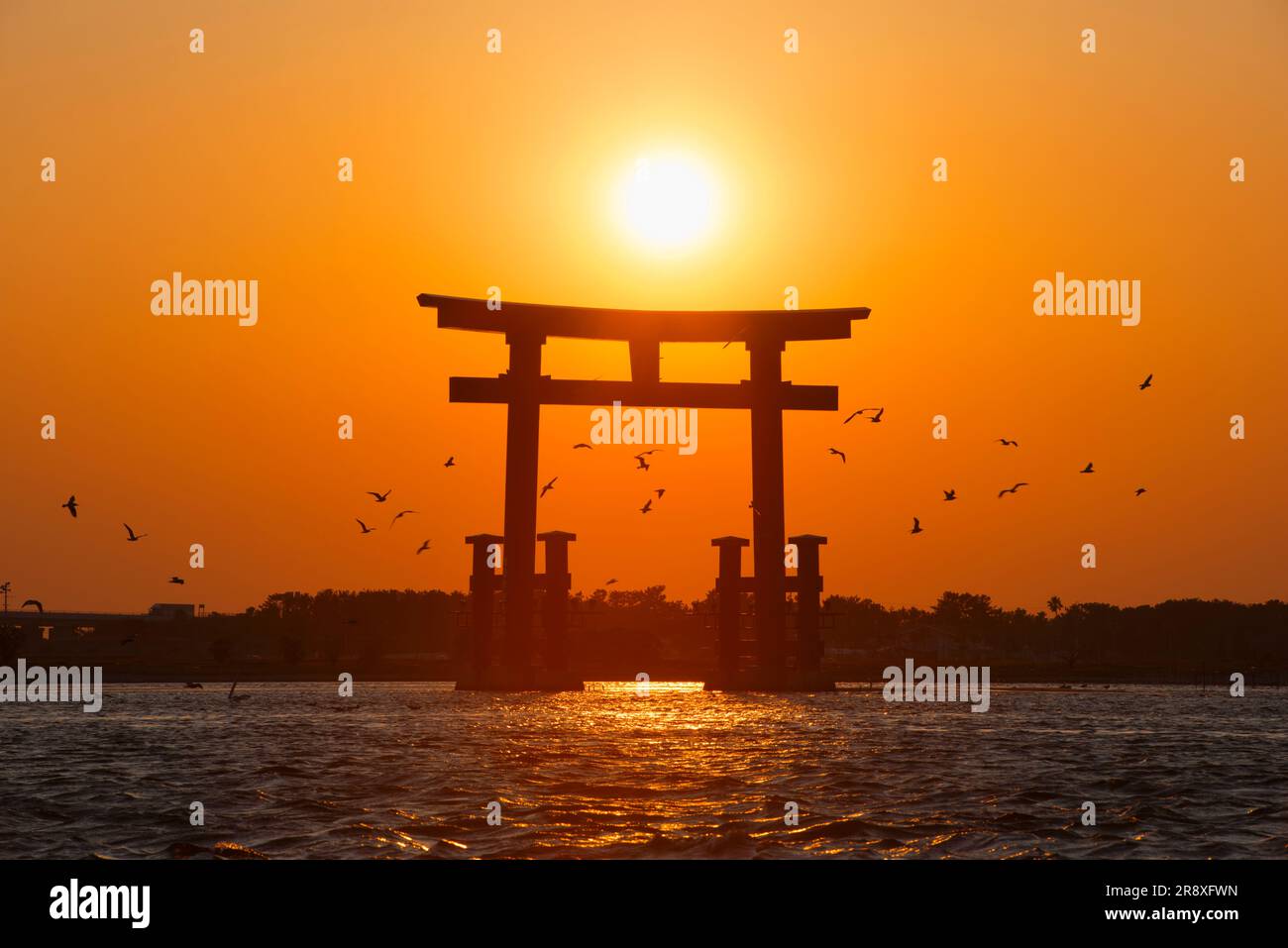 Lake park view silhouette hi-res stock photography and images - Alamy