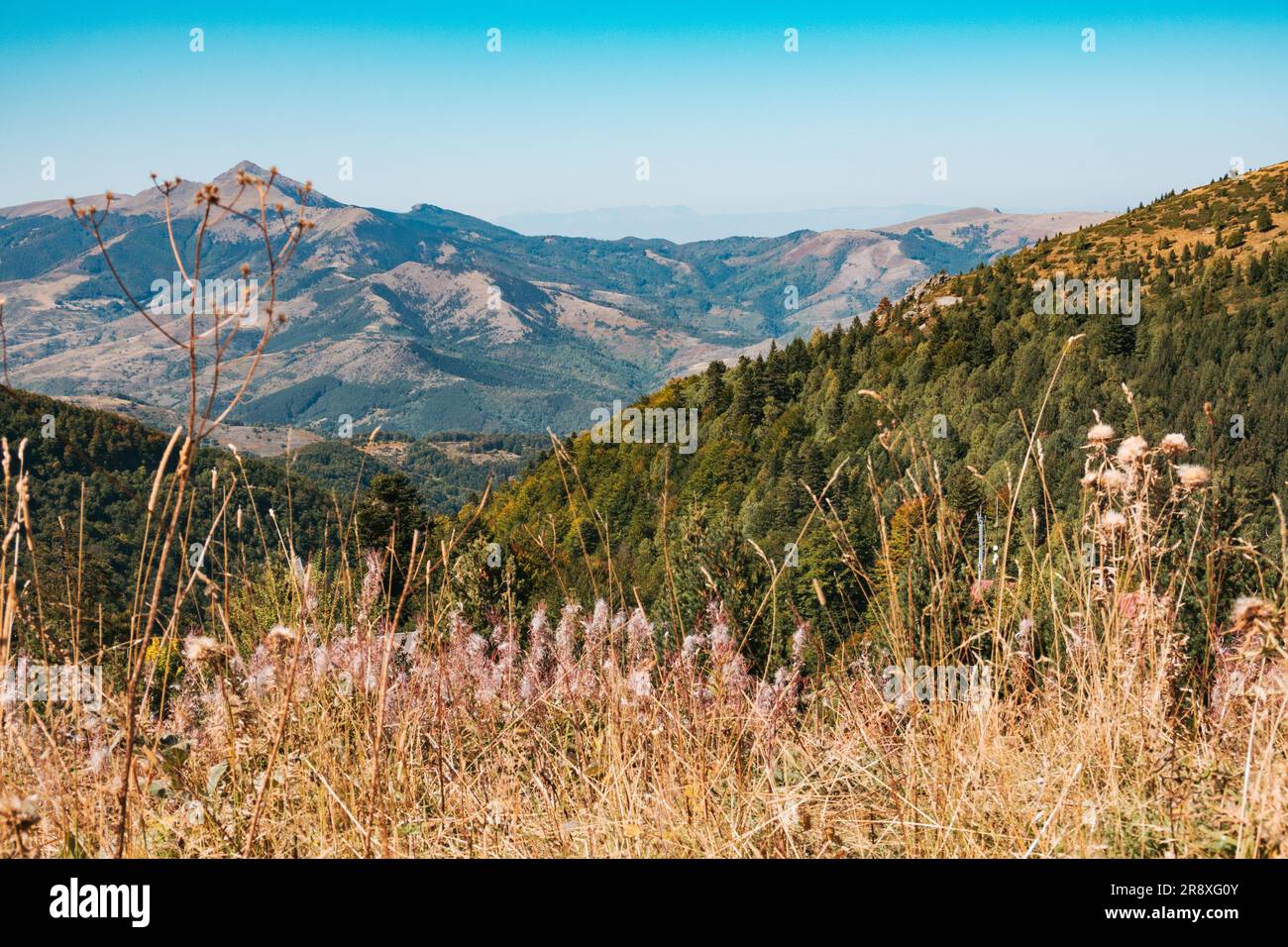 a dry summer in Sharr Mountain National Park, Kosovo Stock Photo - Alamy