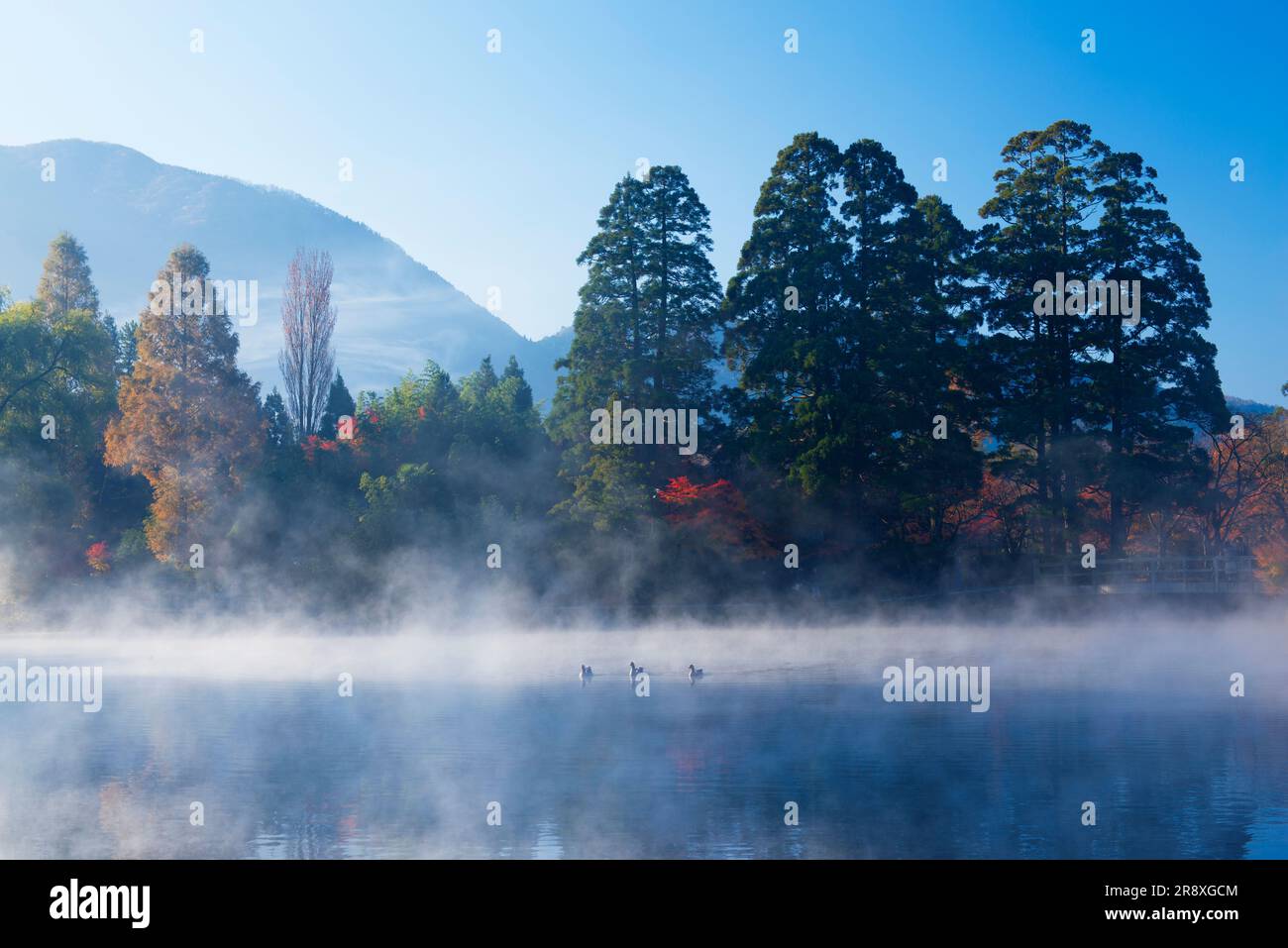 Lake kinrin hi-res stock photography and images - Alamy