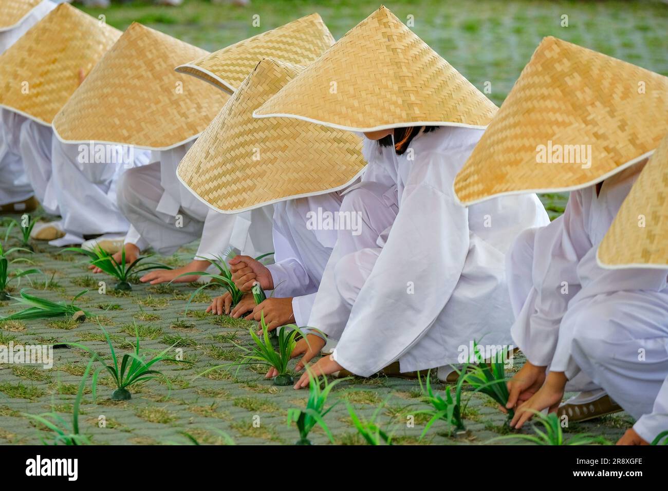 Gangneung, South Korea - June 19, 2023: Performance of a Haksan ...