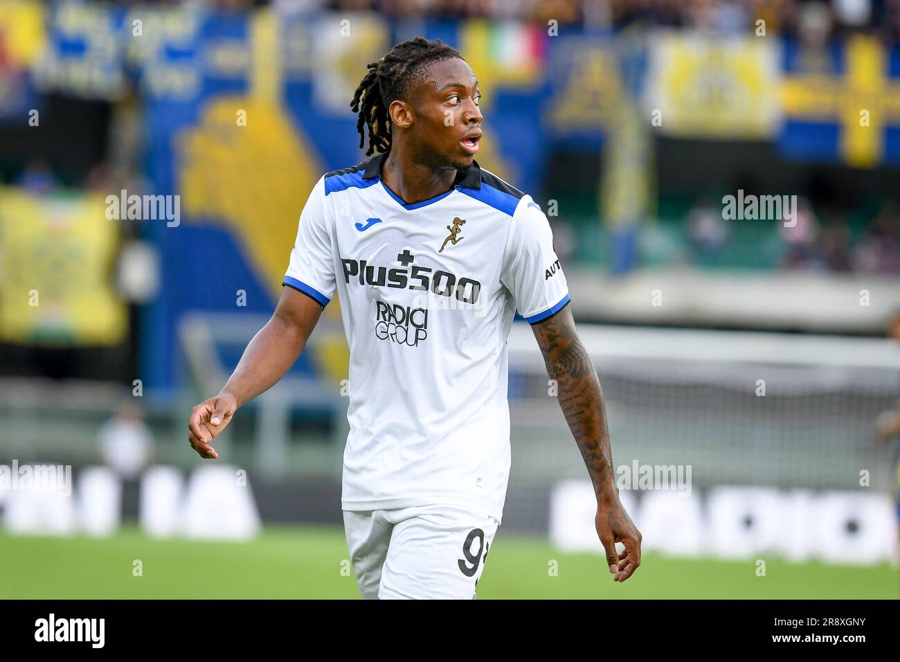 Brandon soppy portrait hi-res stock photography and images - Alamy