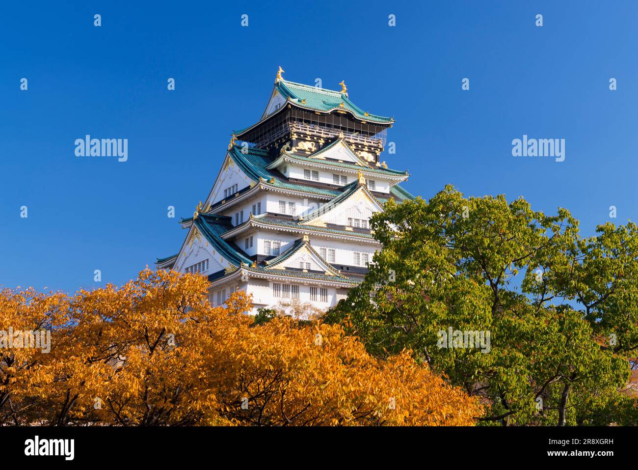 Yellow osaka hi-res stock photography and images - Alamy