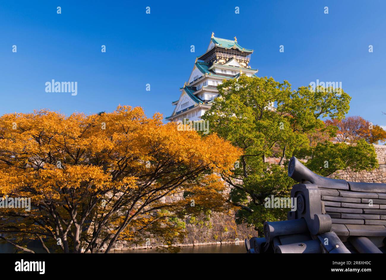 Yellow osaka hi-res stock photography and images - Alamy