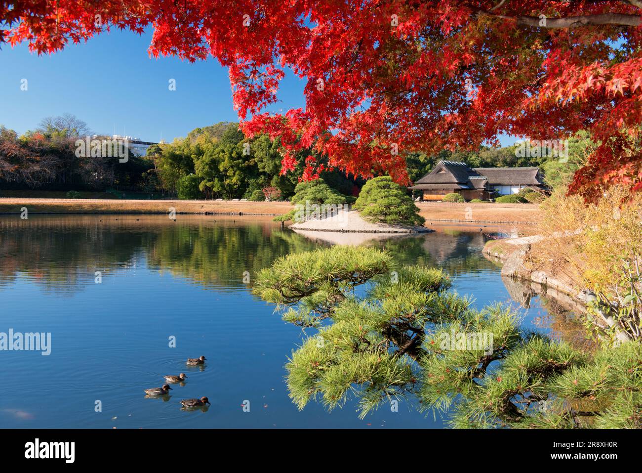 Japan okayama korakuen garden hi-res stock photography and images - Alamy