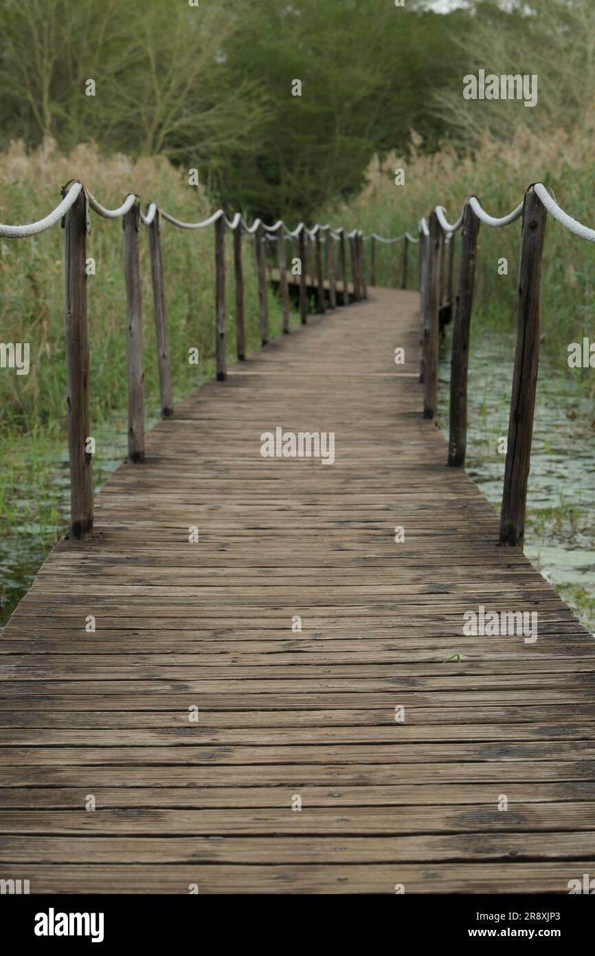Beauty in nature, wooden walkway in nature park, outdoor slow travel ...