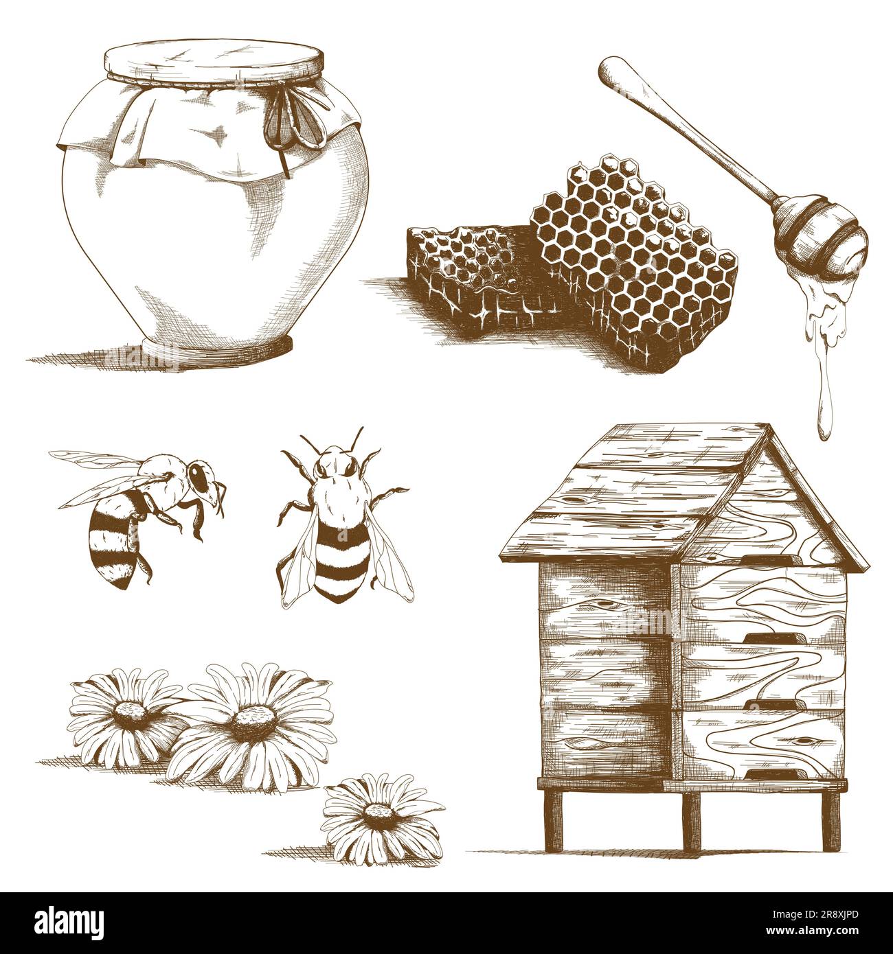 Hand drawn honey sketch elements Stock Vector Image & Art - Alamy