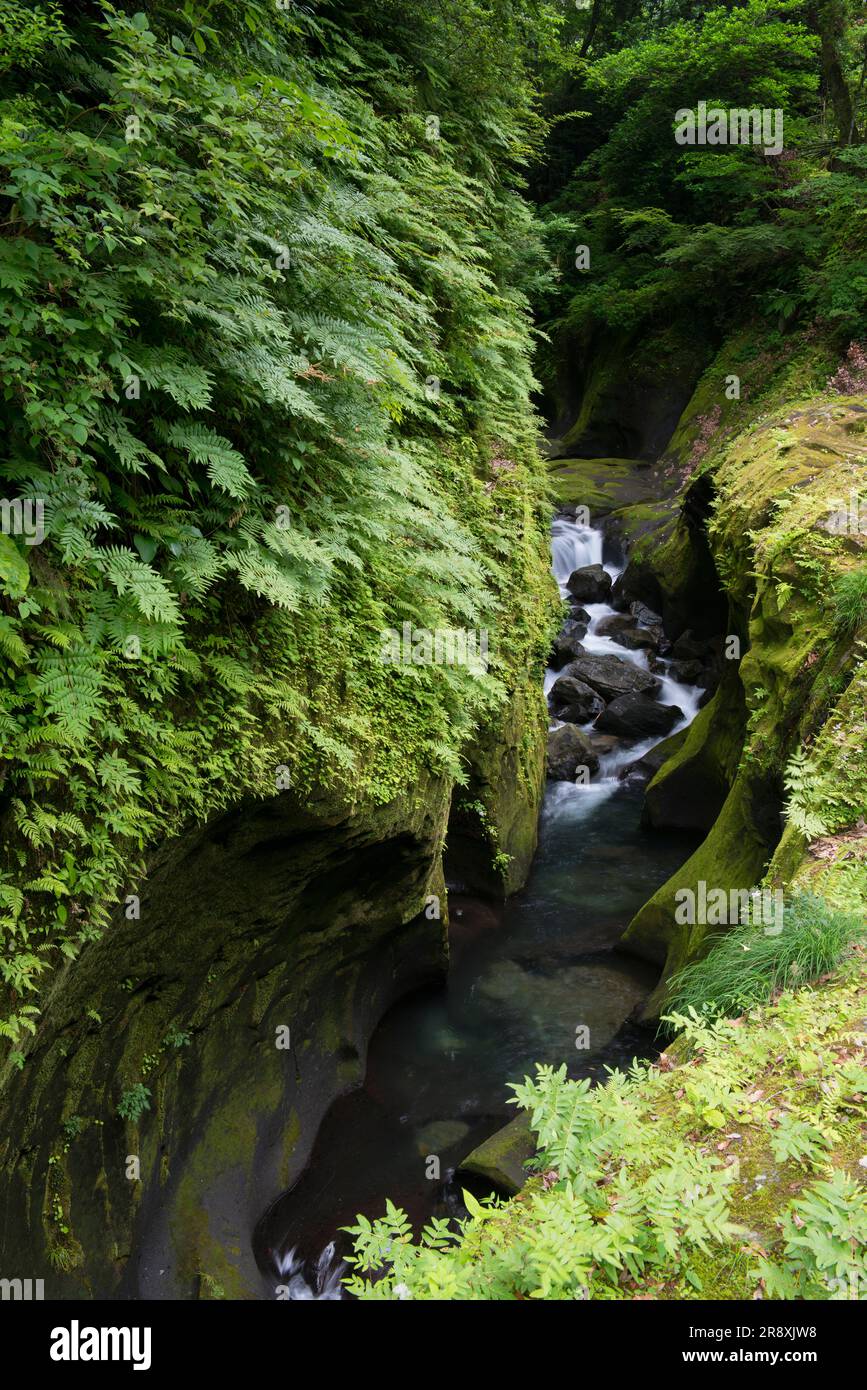 Giants gorge hi-res stock photography and images - Alamy